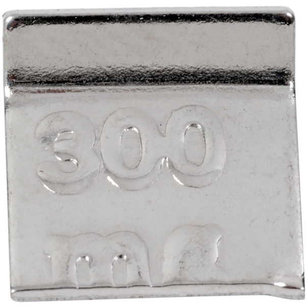 NIST F Individual Scale Calibration Weights Weight 1P TEST Flat 300mg ...